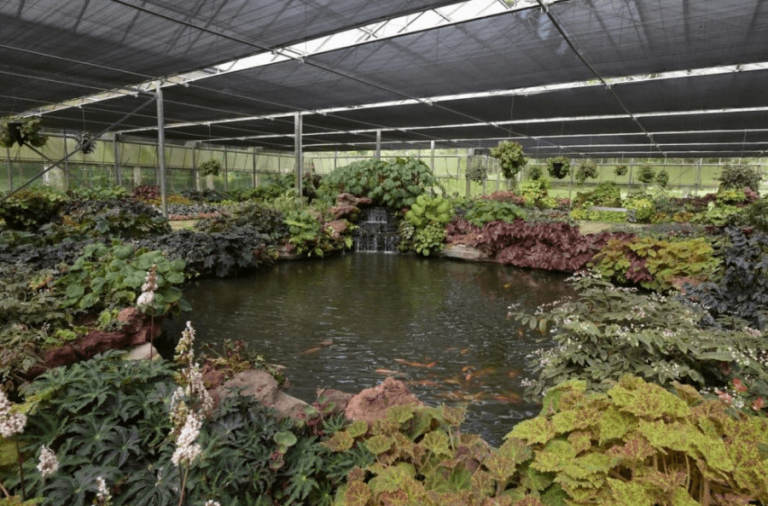 Wisata Taman Bunga Nusantara Puncak, Tiket Masuk & Alamat - VILA.CO.ID